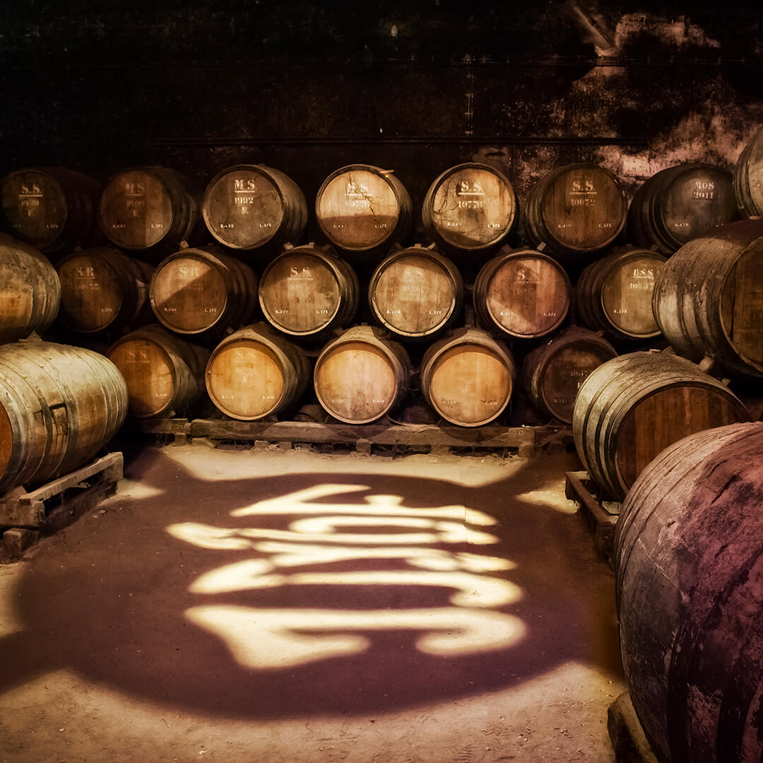 Tinto com 150 anos de história - The Art of Tasting Portugal