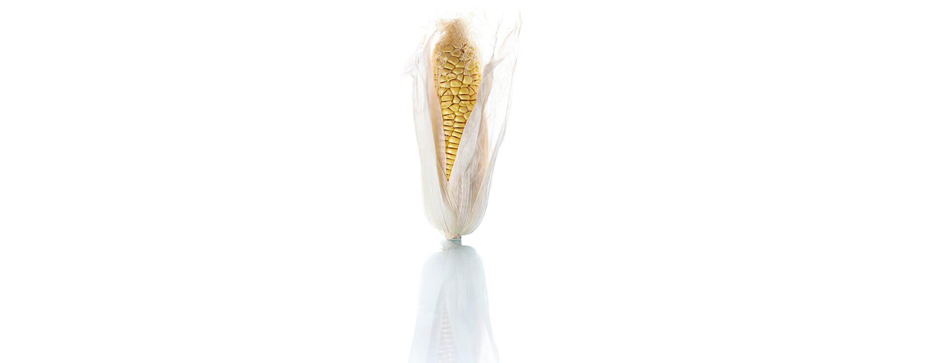 Corn - The Art of Tasting Portugal