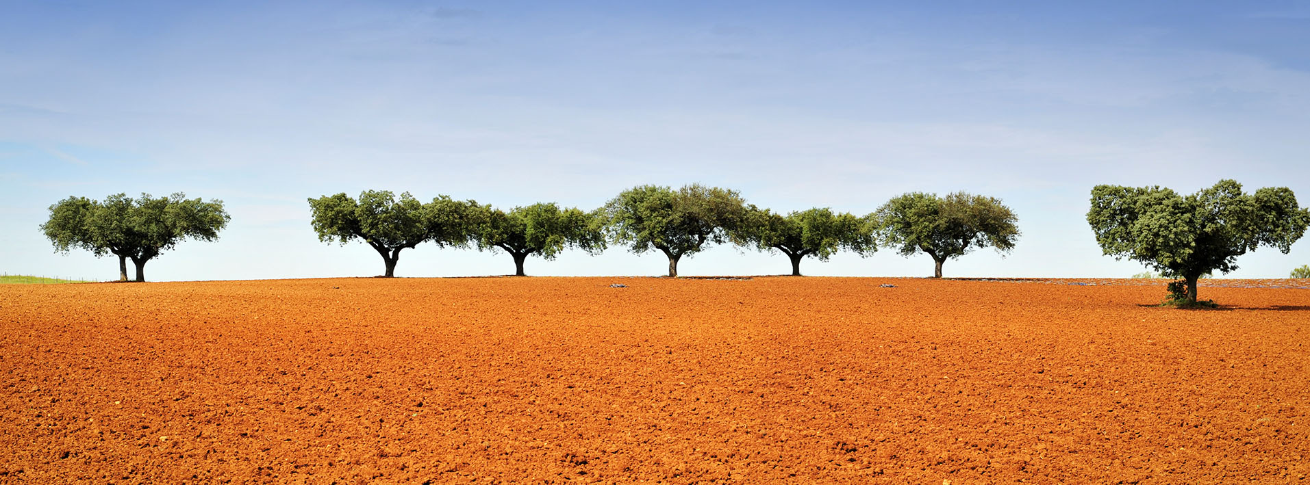 Alentejo and Ribatejo - The Art of Tasting Portugal