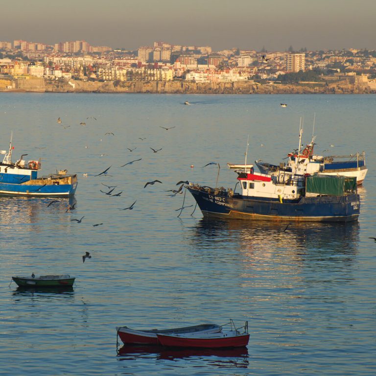 Experiência Gastrónomica Chef Carlos Afonso - The Art of Tasting Portugal