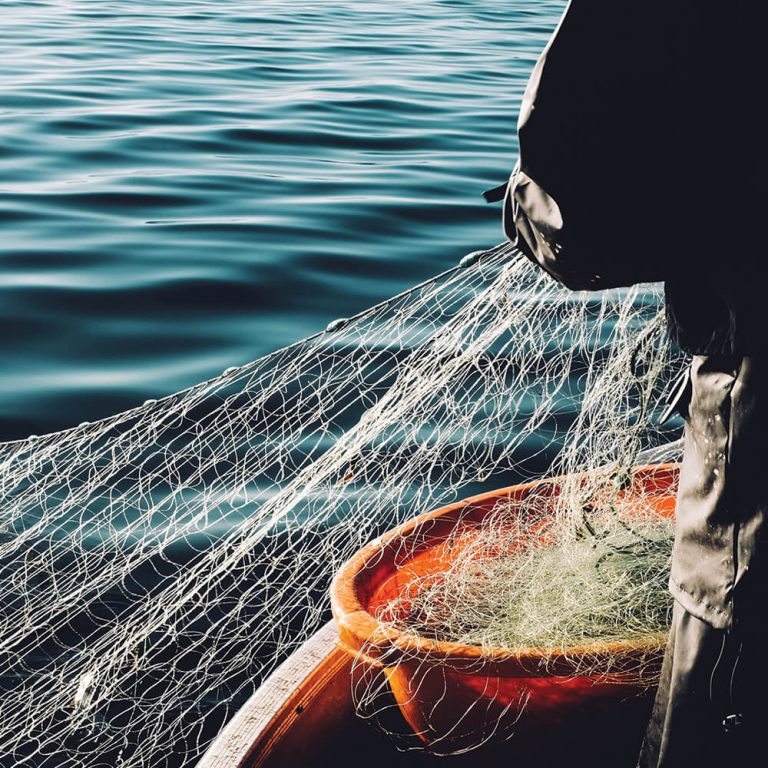 Experiência Gastrónomica Chef Carlos Afonso - The Art of Tasting Portugal